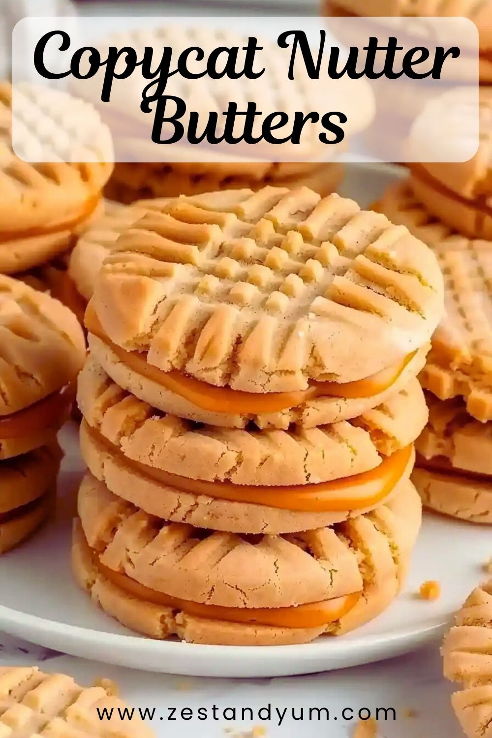 Homemade Copycat Nutter Butters - ZEST & YUM